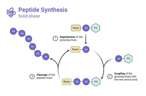Peptide Synthesis Biorender Science Templates
