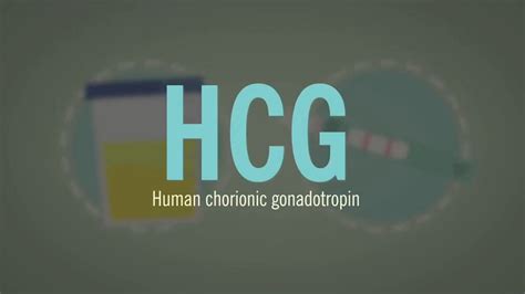 Pregnancy Test Hcg Formal Name Human Chorionic Gonadotropin Also