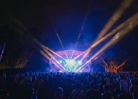 What To Expect At The Upcoming Neon Lights Festival 2019 High Net Worth