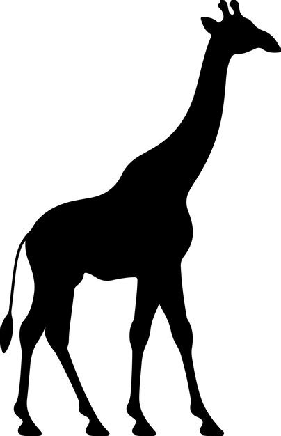 지라피 실루 터 일러스트레이션 색 배경 프리미엄 벡터