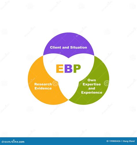 Diagram Of EBP Evidence Based Practice With Keywords EPS 10 Stock Vector Illustration Of