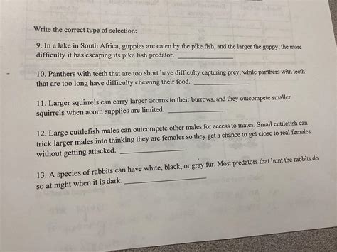 What Is The Answers For These Brainly Com