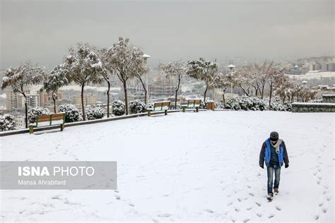 ایسنا نخستین برف زمستانی تهران