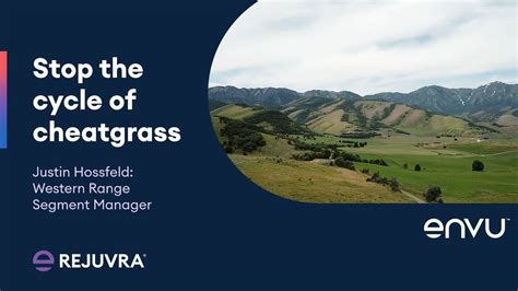 Rejuvra® Herbicide Stop The Cycle Of Cheatgrass Youtube