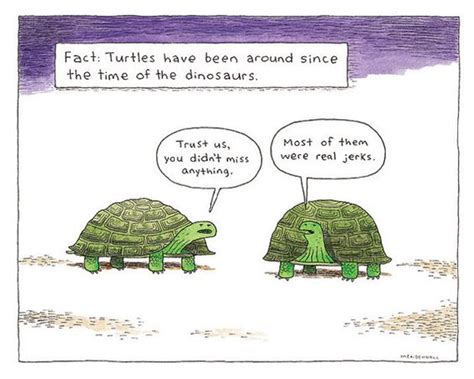 30 Hilarious Turtle Memes That Will Make Your Day Brighter