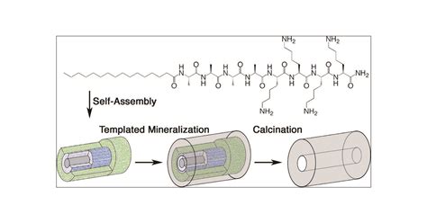 Peptide Amphiphile Nanofibers Template And Catalyze Silica Nanotube