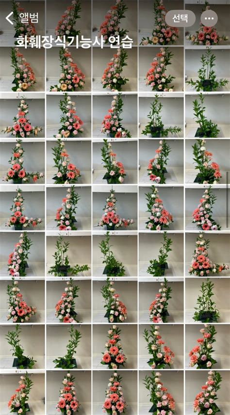 2023년 1회차 화훼장식기능사 실기 91점 합격 후기 및 꿀팁🌟 예산 공주캠퍼스 네이버 블로그