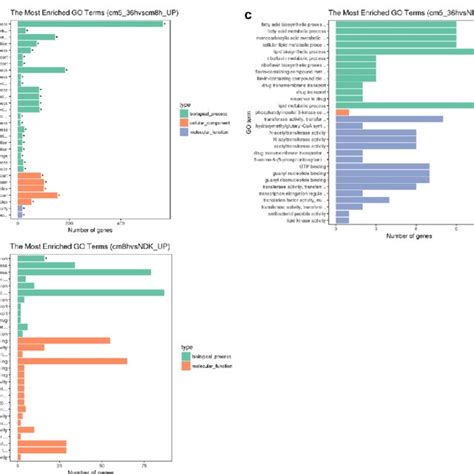 Comparison Of Functional Annotations Between Different Samples A