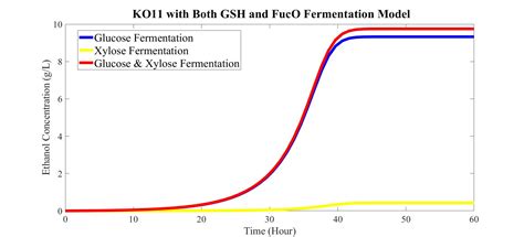 Team Metu Hs Ankara Model