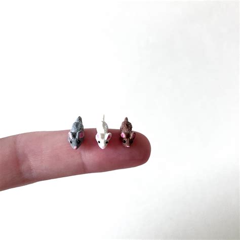 Worlds Tiniest Mouse Tiny Mouse Tiny Mice Micro Mini Mouse Tiny