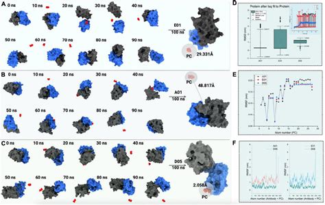 The 100 Ns All Atom Molecular Dynamics Simulation Of Pc With A E01 Download Scientific