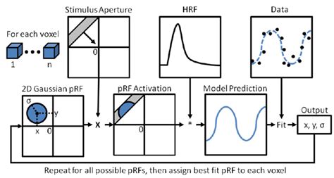 Population Receptive Field Modeling The Parameter Estimation Procedure Download Scientific