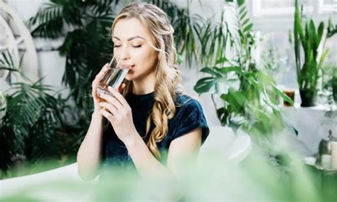 How Do Fat Burning Pills Work A Beginners Ultimate Guide