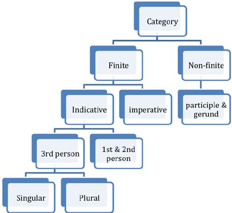 A Hierarchy Of Categories Download Scientific Diagram