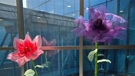 서울 투어2 힐링커뮤니케이터 방승석목사의 심리학 심리치료 심리상담 이야기 Youtube