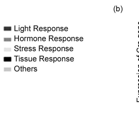 A Pie Chart Showing Frequency Of Cis Elements Present In Clv3 Download Scientific Diagram
