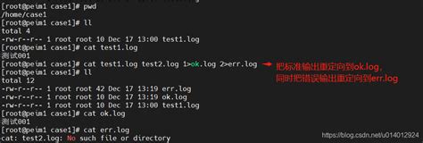 Linux Shell编程 重定向看这篇就够了 Devnull 2＞and1 Csdn博客