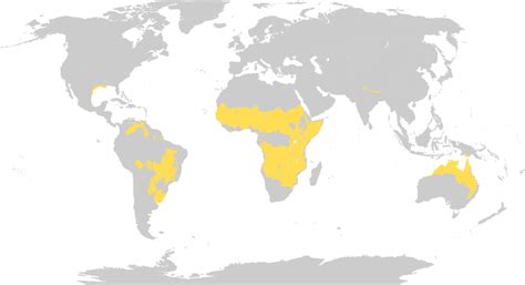 Savanna Biome Ask A Biologist