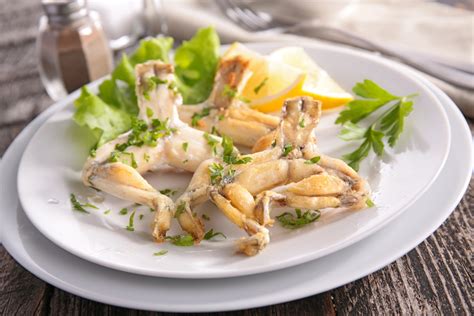 Fooddictionary France Take A Dive Into French Cuisine Routeperfect