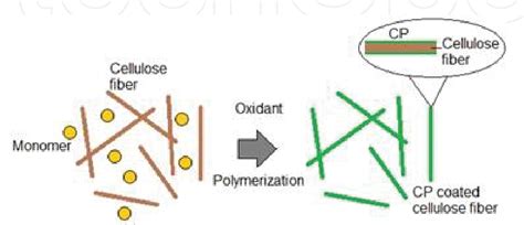 Natural Polymers Cellulose