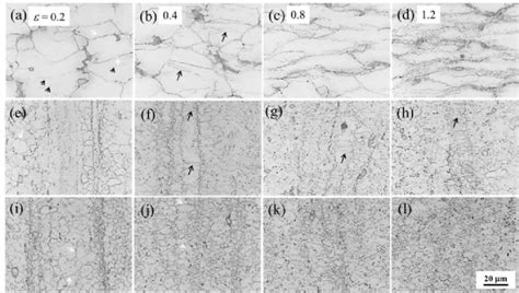 Typical Microstructures After Being Compressed At A Strain Rate Of 005