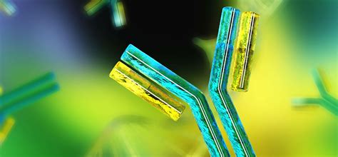 3rd Glycoscience Frontier Seminar Hga