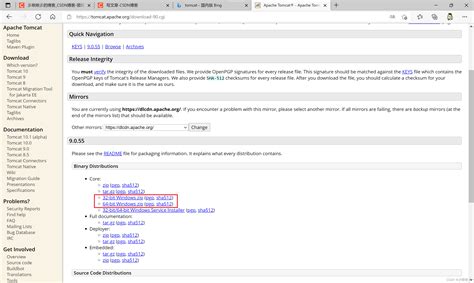 tomcat9的安装和配置 csdn博客