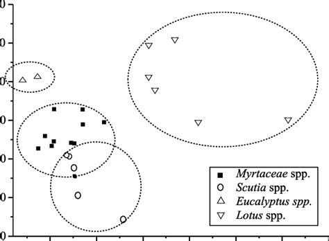 principal component score plot of honey samples from 2005 based on