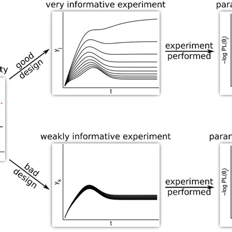 The Shape Of The Profile Likelihood Can Inform Experimental Design To