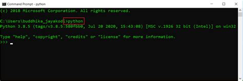 How To Install And Setup Python On Windows Devzigma