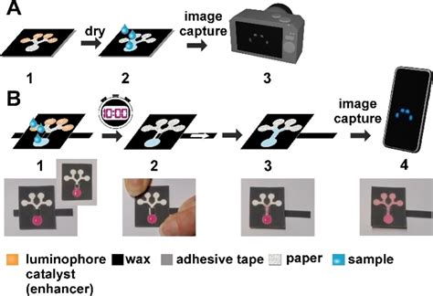 Enhanced Chemiluminescence Of A Superior Luminol Derivative Provides Sensitive Smartphone‐based