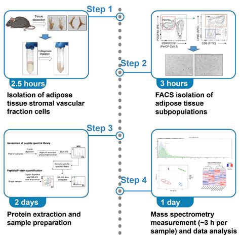 Cell Press Star Protocols
