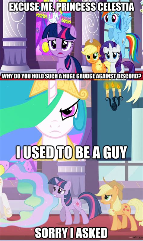 Princess Celestia Memes