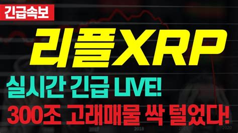 엑스알피 리플 코인 🔴xrp 고래 매물 300조 털었다🔴큰일났다 여기서 폭락 쏟아질겁니다 필수대응시청 리플코인 리플전망 리플분석 리플목표가 Youtube