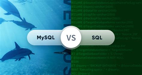 Mysql Dolphin