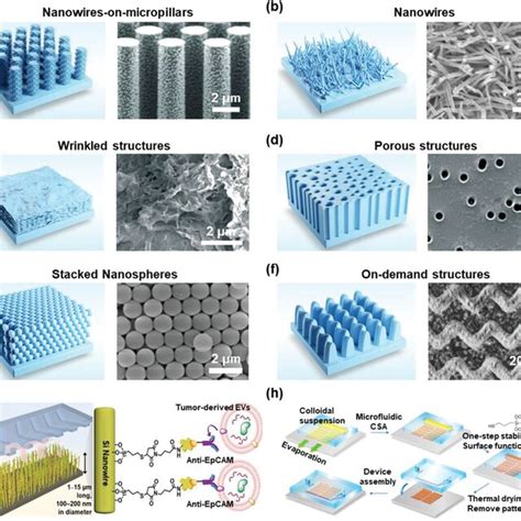 Ev Isolation Based On Chemical Affinity A Dspe On A Lipid Probe Download Scientific Diagram