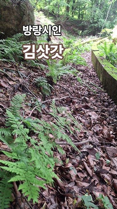 술 한잔에 시 한수로 김용임 Youtube