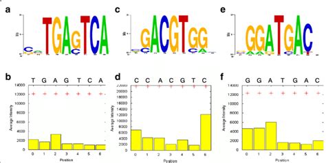 Identification Of Binding Motifs Of Recombinant Ossmf1 From E Coli By Download Scientific