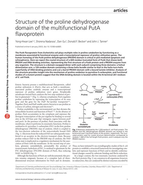 Pdf Structure Of The Proline Dehydrogenase Domain Of The