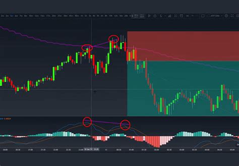 Predict Market Reversals Like a Pro With The MACD Indicator αlphαrithms