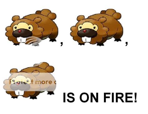 Bidoof Evolution Chart