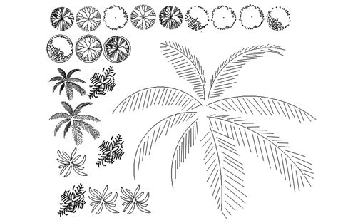 Top View Of Trees Blocks In AutoCAD D Dwg File CAD File Cadbull