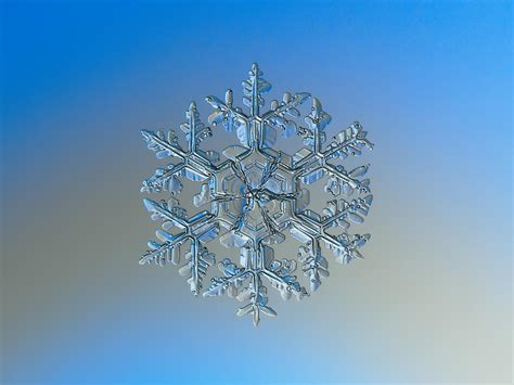 Macro Photography Of Natural Snowflake R Interestingasfuck