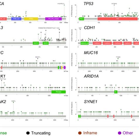 Type Of Mutations And Affected Protein Domains Of The 10 Most