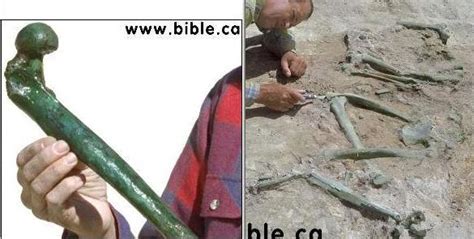 4 Вкаменелости от Човешки скелети