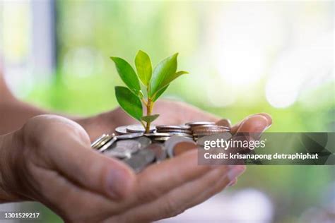 Tree Graph Photos And Premium High Res Pictures Getty Images