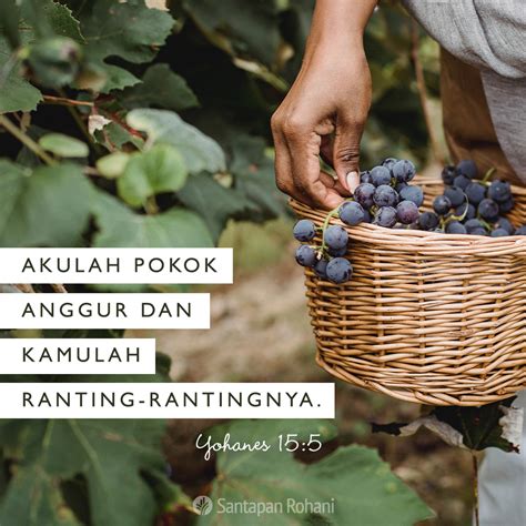 Akulah pokok anggur dan kamulah ranting-rantingnya. (Yohanes 15:5) | Santapan Rohani