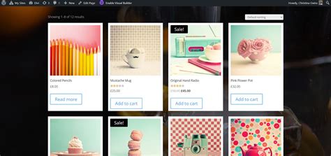 Divi Plugin Highlight Divi Ajax Filter Ask The Egghead Inc