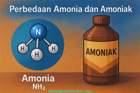 Perbedaan Amonia Dan Amoniak Kemang House For Rent