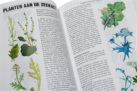 Sas Survival Manual Advantageously Shopping At Knivesandtoolsie